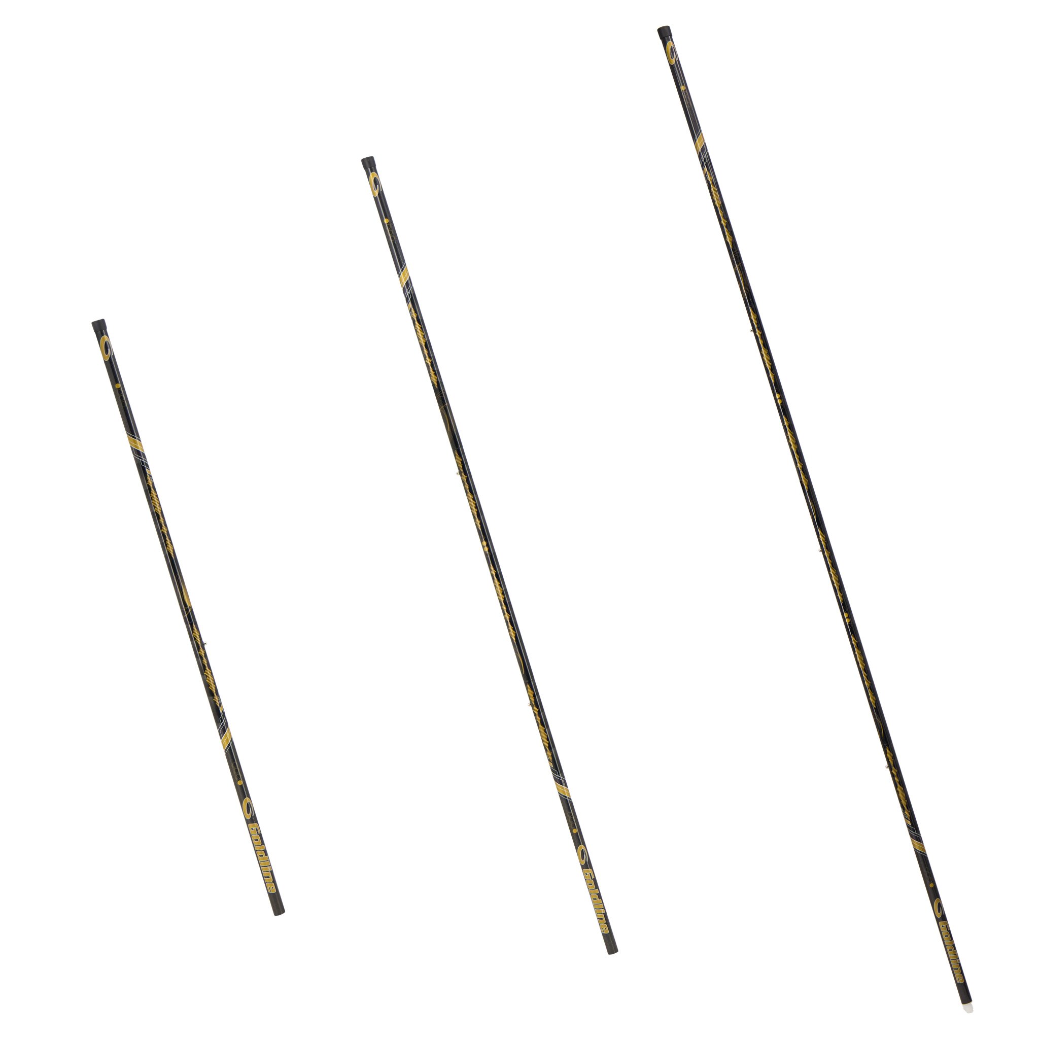 Wheelchair Delivery Stick (4 piece assembly) | Goldline Curling Gear